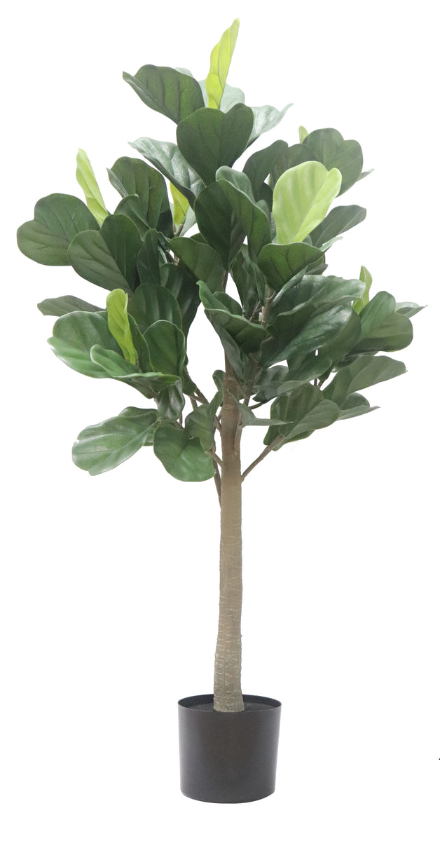 48" Ficus Tree – Marshall Home Corporation