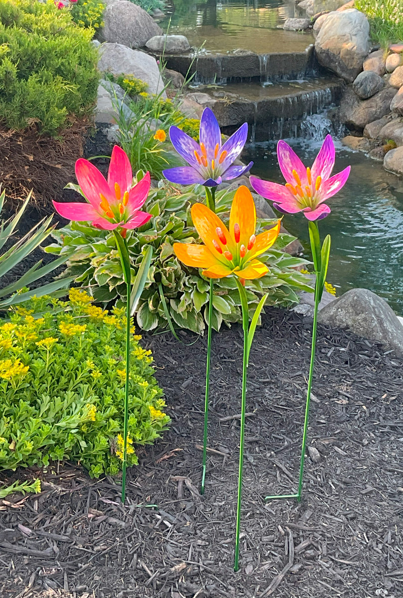 Lily, Assorted – Marshall Home Corporation