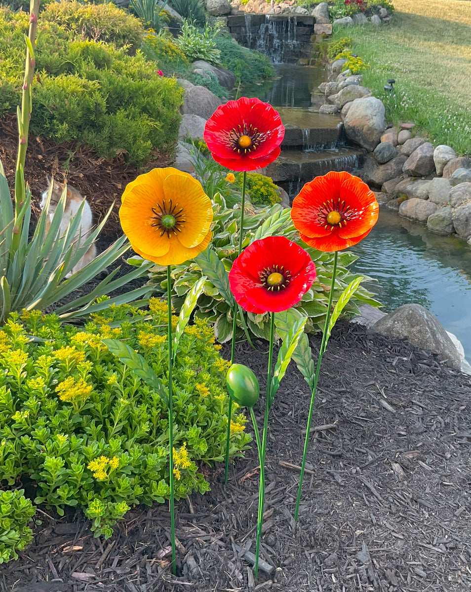 Poppy, Assorted – Marshall Home Corporation