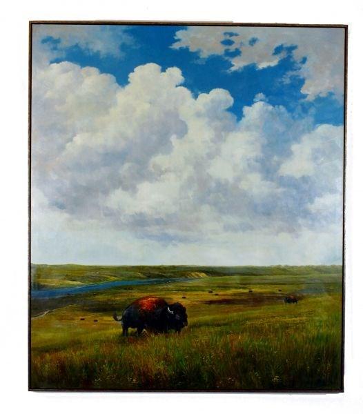 Buffalo Sky – Marshall Home Corporation