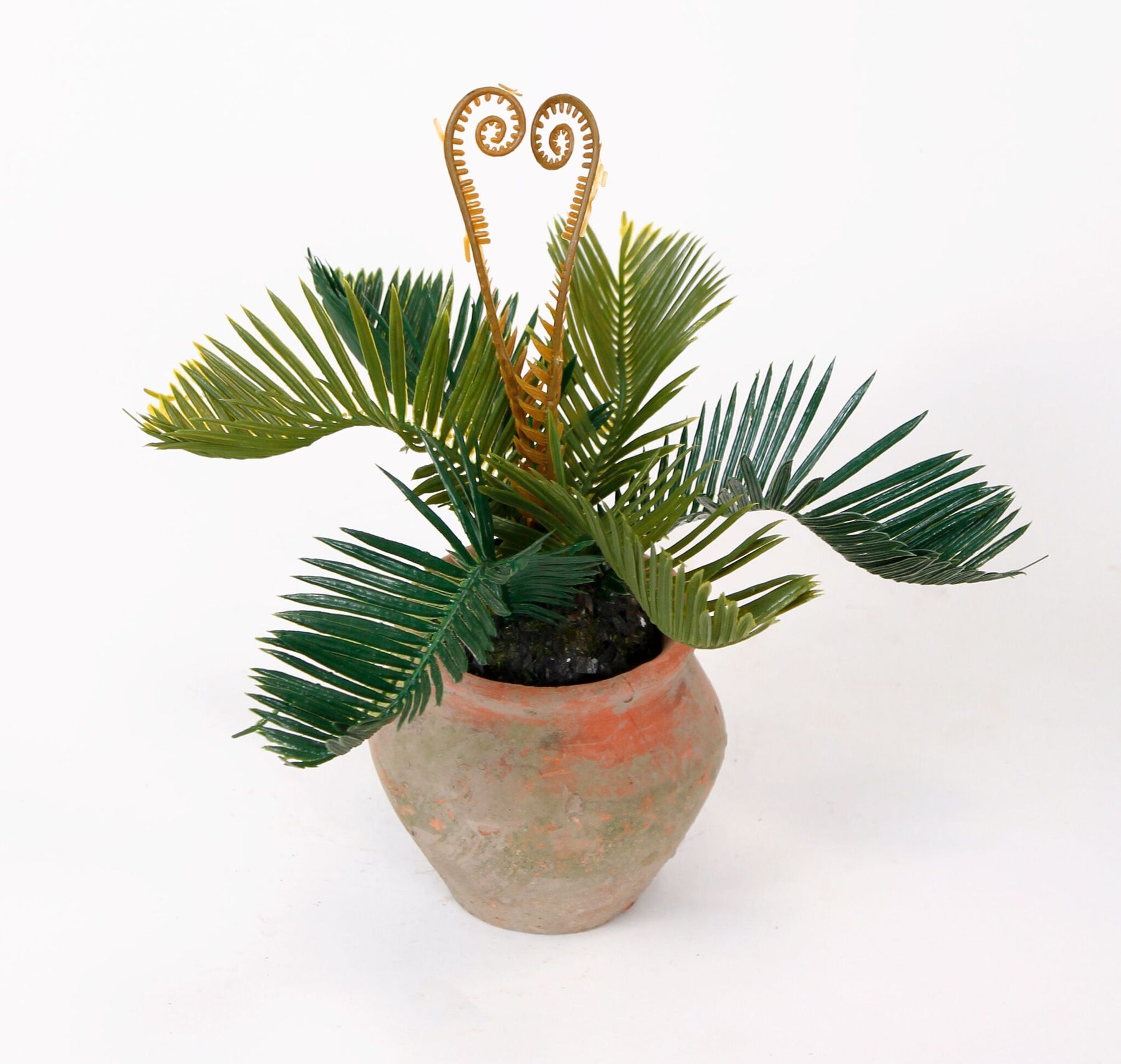 Mini Sago Palm in Terra Cotta – Marshall Home Corporation